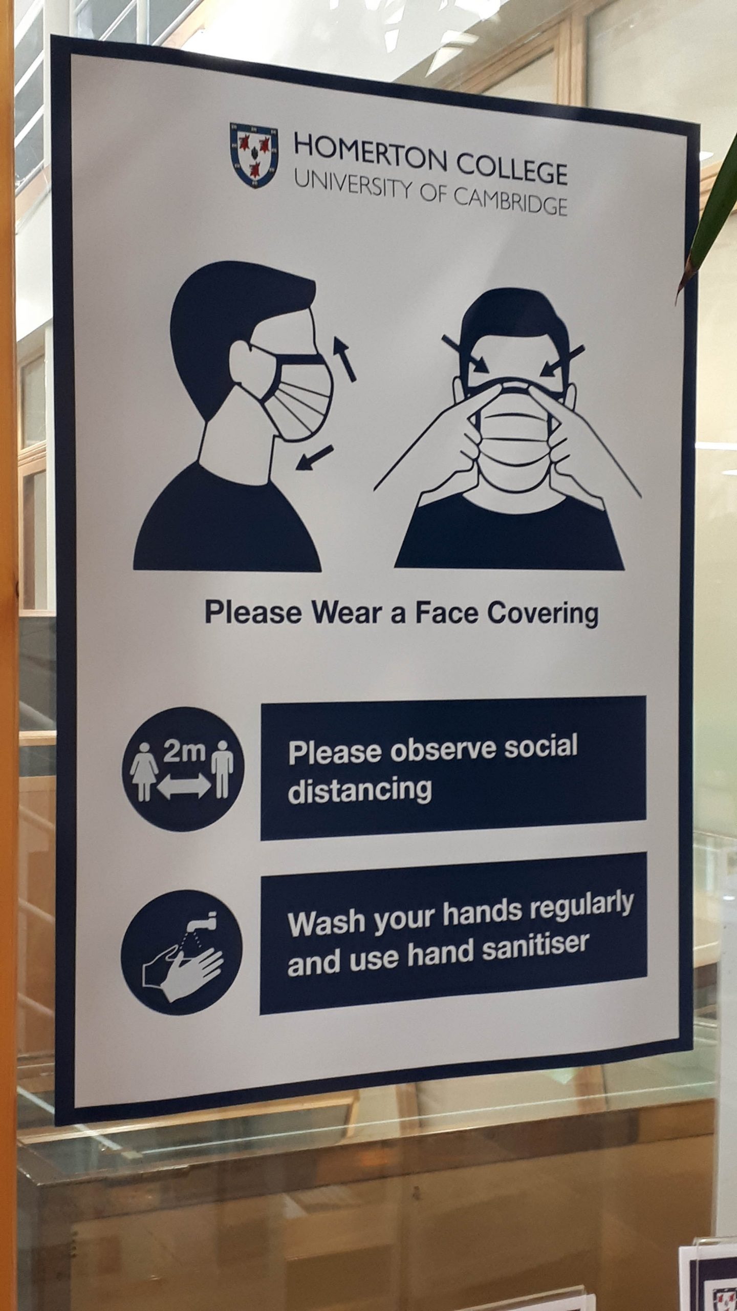 Libraries after Lockdown: Homerton Library, The University of Cambridge ...